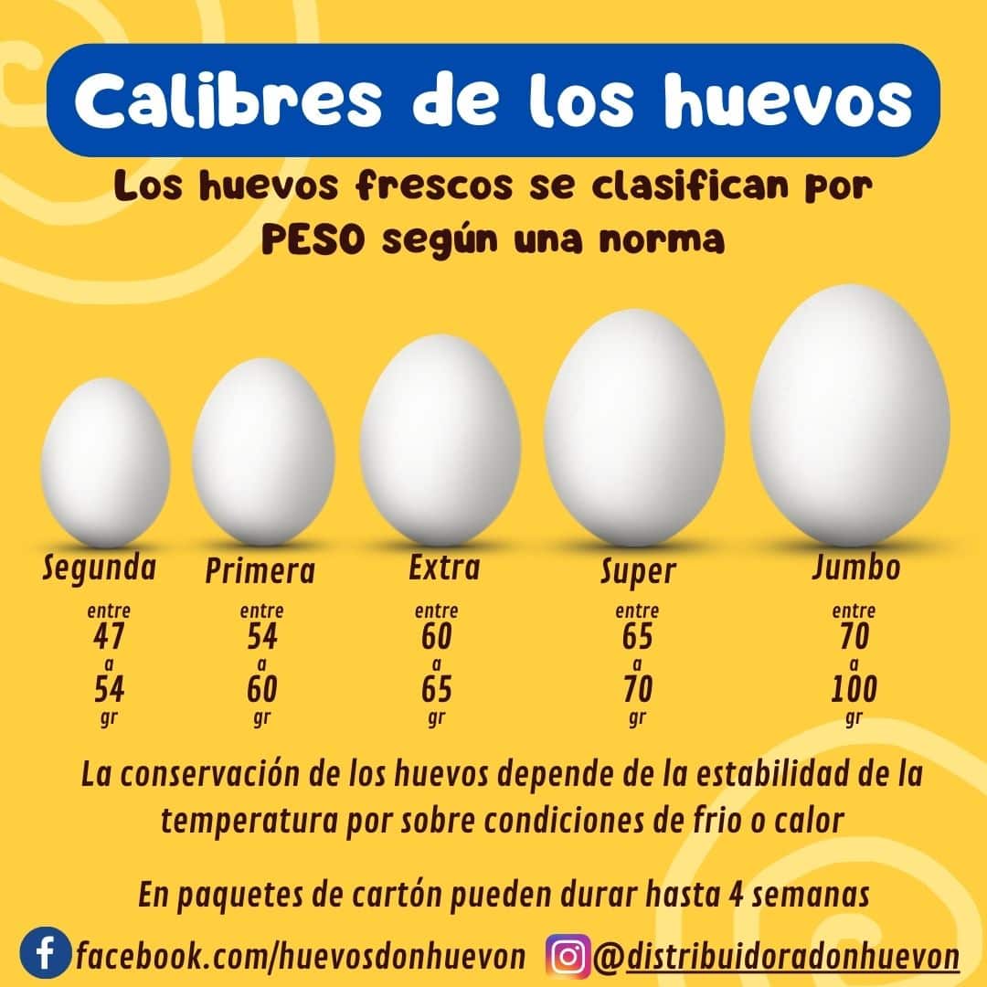¿Cuál es el calibre de los huevos y cómo elegir el adecuado?
